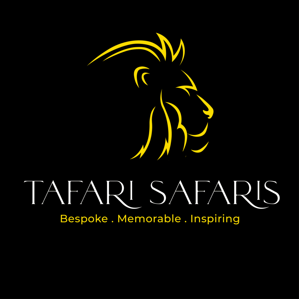 TAFARI SAFARIS | Travel Agency Cookies Policy - 2026